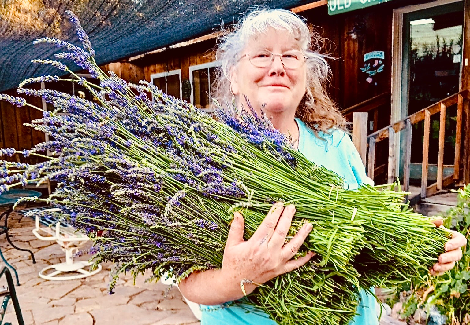 Lavender Fields of palisade - Wholesale supplier of Lavender Products